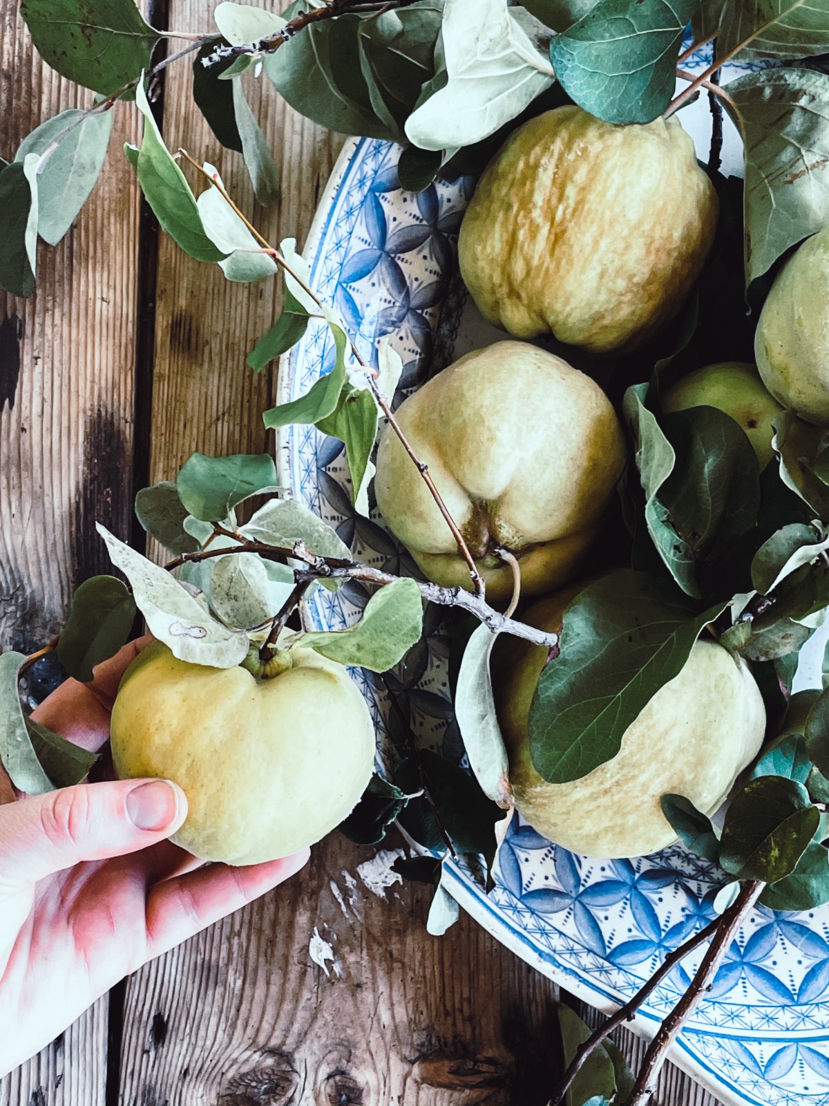 Kwepers - Domein Doornkraal